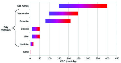 Cation Exchange Capacity: What is CEC in Soil? - Grit